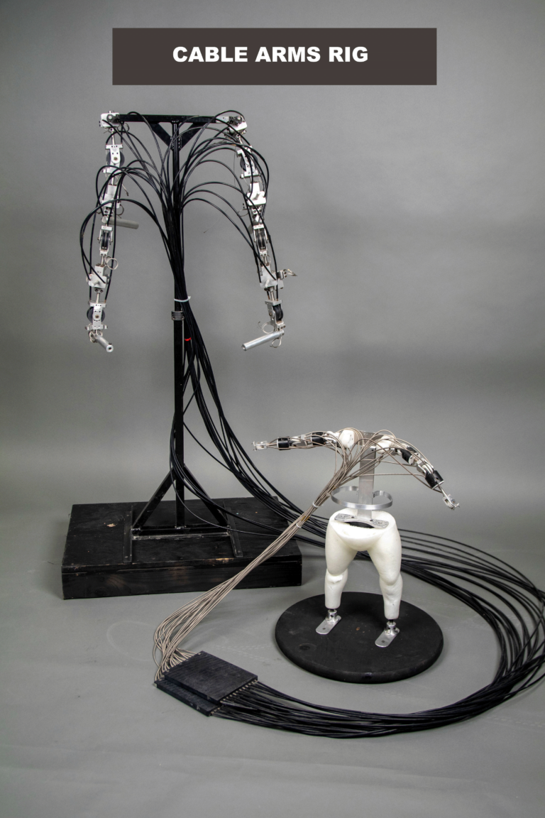 CABLE_RIG - ALTERIAN INC.